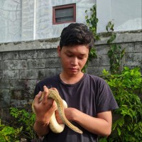 Apa itu PTR Record? Arti, Fungsi dan Cara Membuatnya