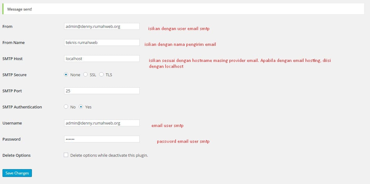 Way To Setting SMTP 7 On Plugin Contact Form Using cPanel Plesk | Rumahweb Journal