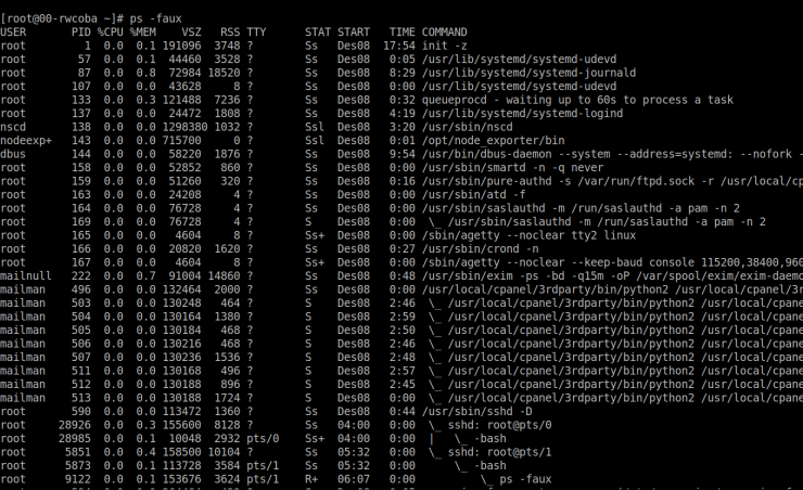 Cara Cek Resource Usage di VPS Melalui Virtualizor dan SSH
