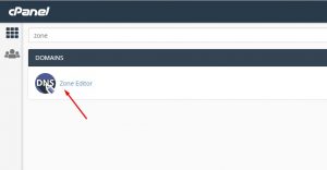 Cara Setting DNS Record di cPanel Melalui Zone Editor