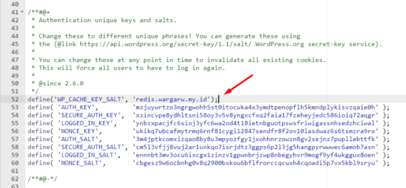 Plugin Redis Object Cache : Pengertian dan Cara Settingnya
