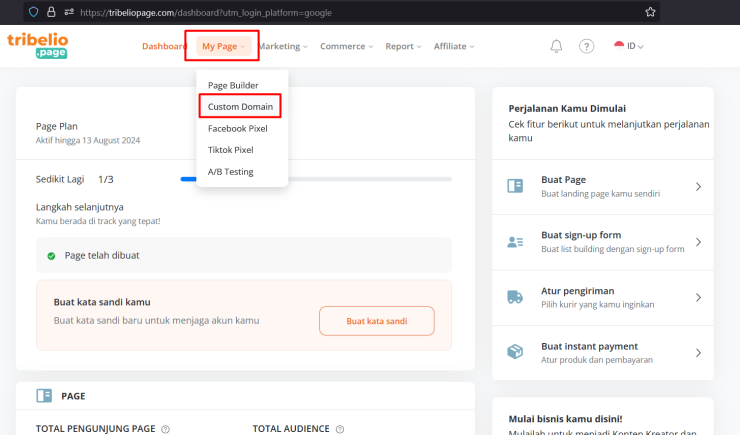 Cara Custom Domain ke Tribelio – Rumahweb